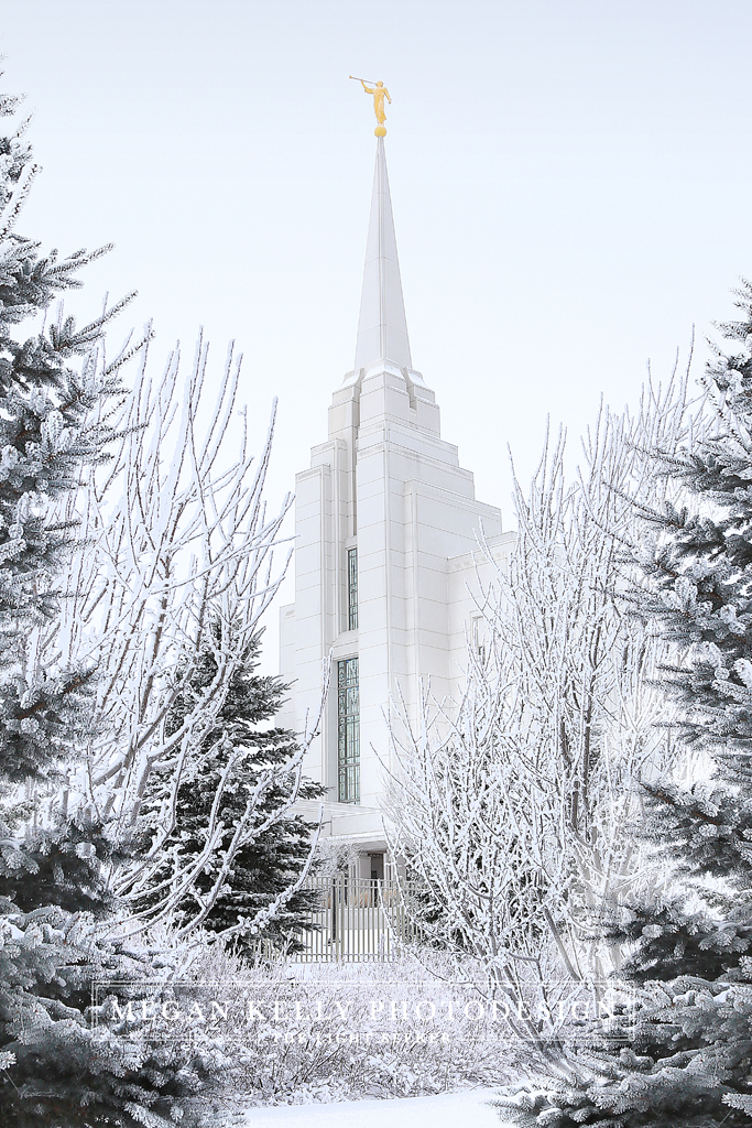 LDS Temple Photography | The Light Seeker